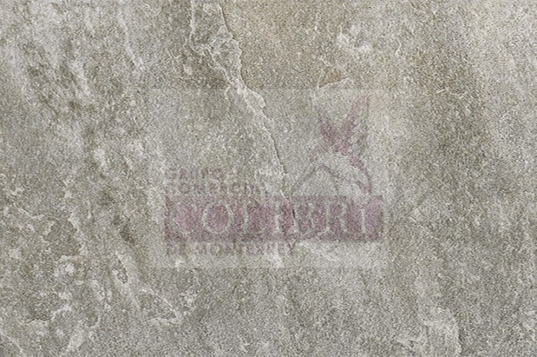 WALKS GRAY - Colibri