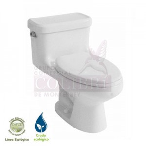 CAPIZZI archivos - Colibri